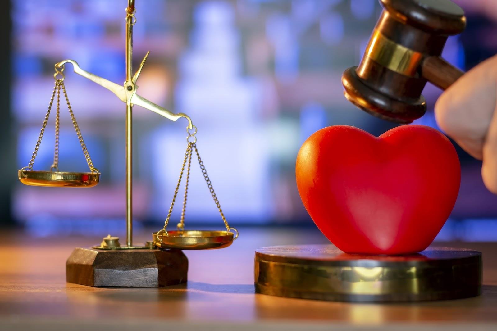 Errors Of Law Vs. Errors Of Fact: Understanding Their Role In Divorce ...